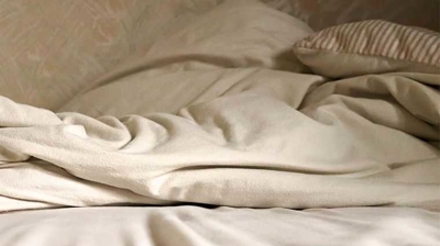 Bed Bug Control in Little Rock | George Termite & Pest