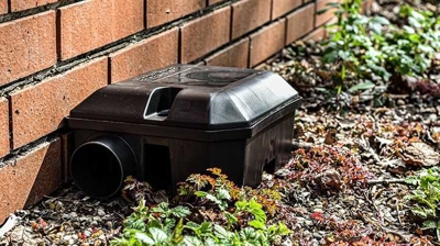 Rodent Control in Little Rock, AR | George Termite & Pest Control