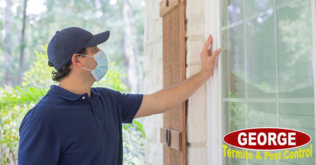 The Importance of Regular Pest Inspections